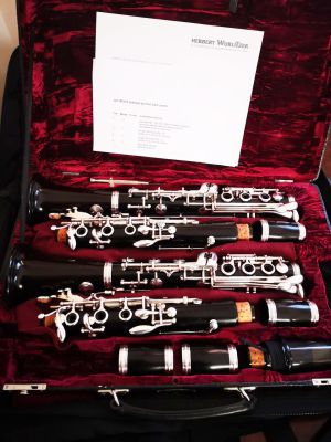 Pre-owned Wurlitzer | Wurlitzer Clarinets